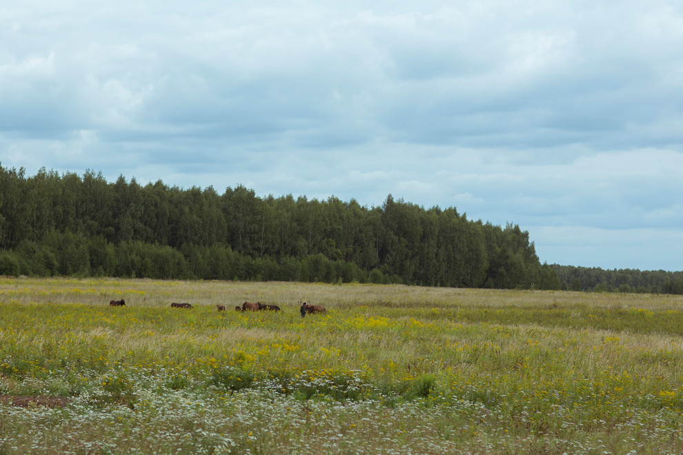 Итак, вы купили дачу... Что делать дальше? | Flatica