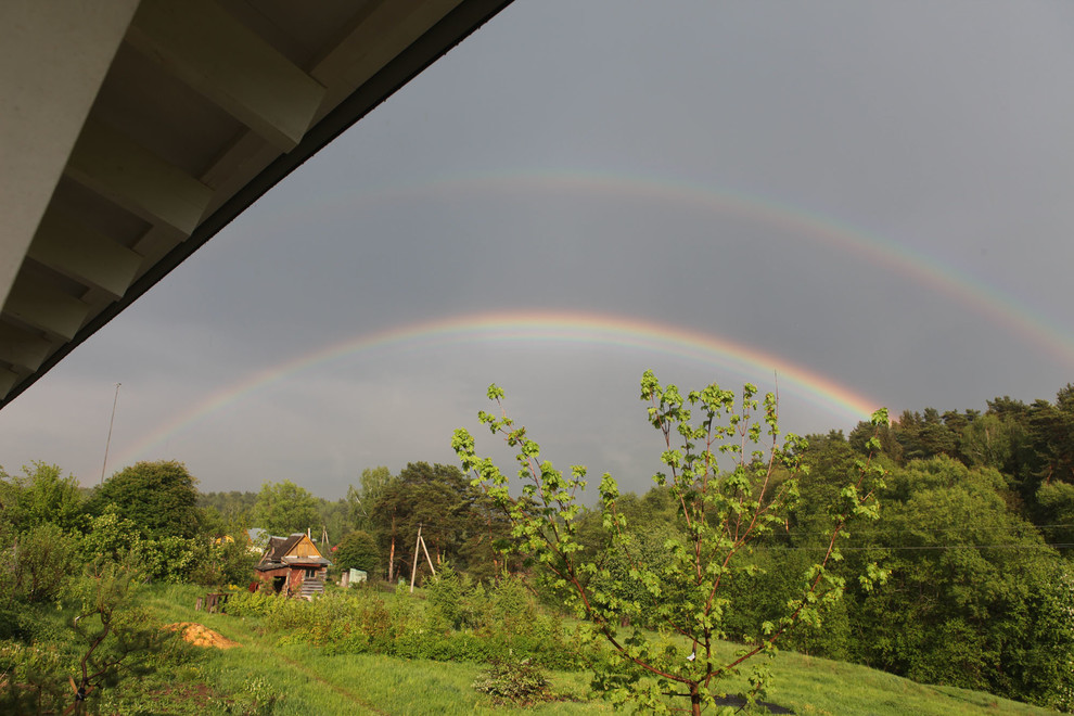 Письмо Деду Морозу от женщины | Flatica