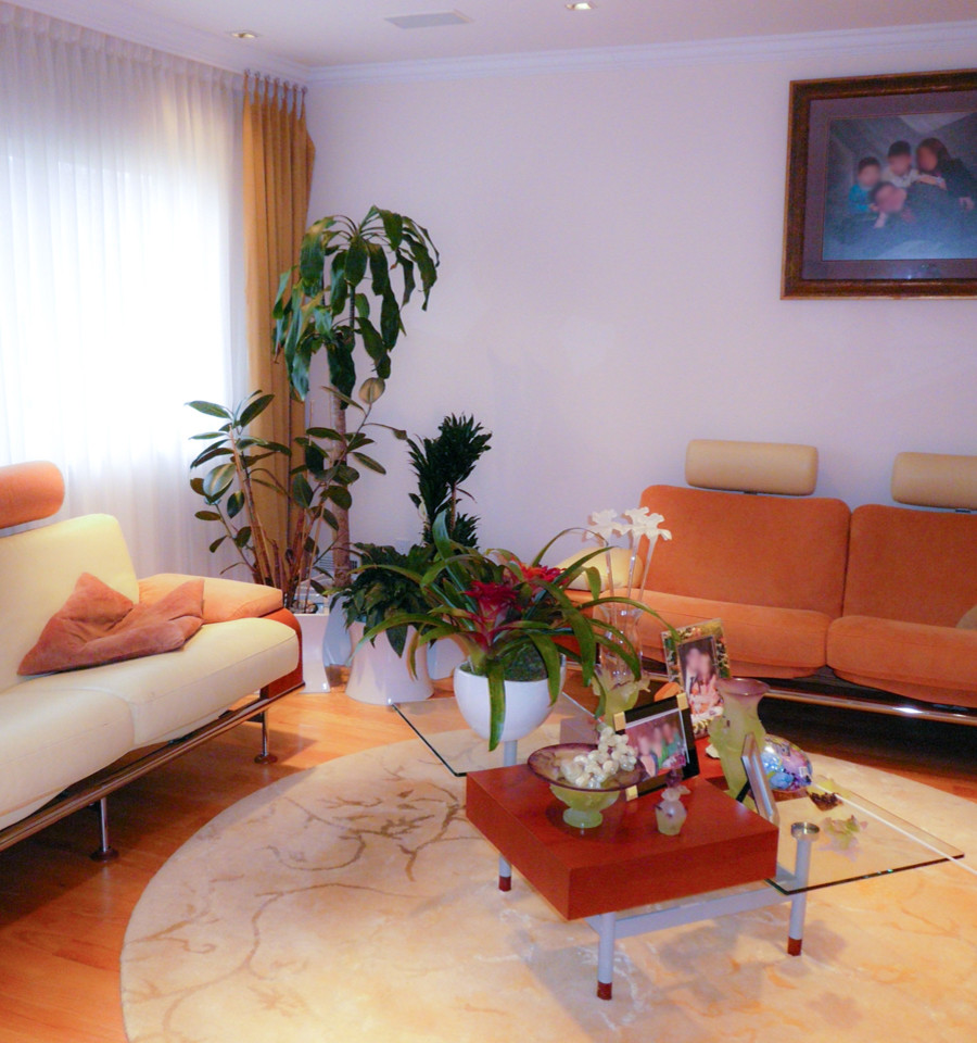 Сам себе фитодизайнер: Стратегии размещения комнатных растений | Flatica