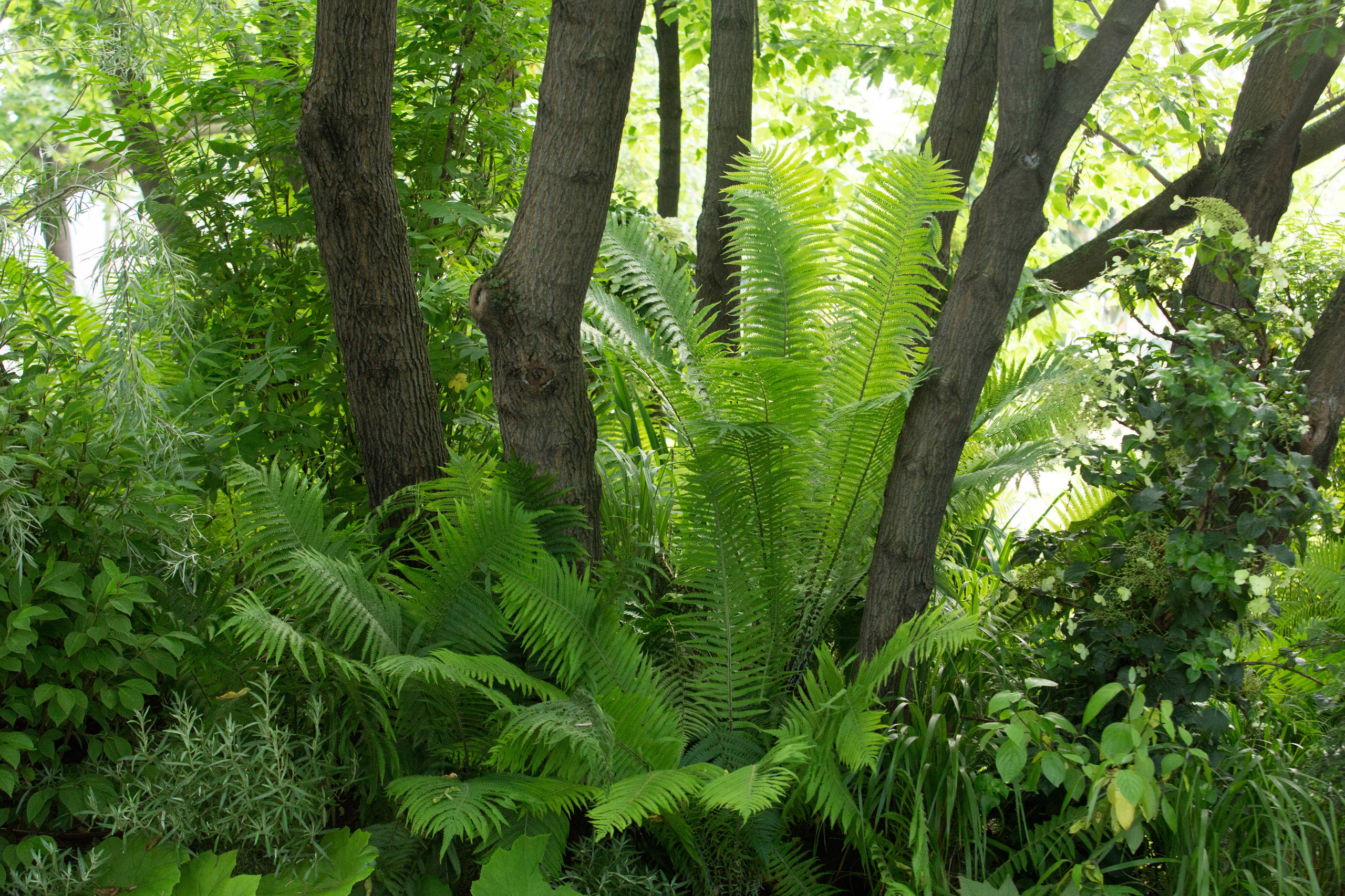 Проект недели: Сад в стиле модерн | Flatica