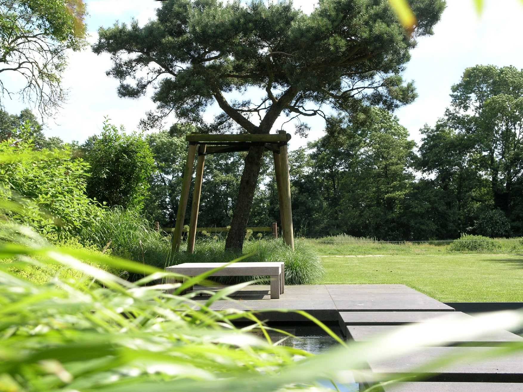 6 соток и меньше: Стратегии выбора растений | Flatica