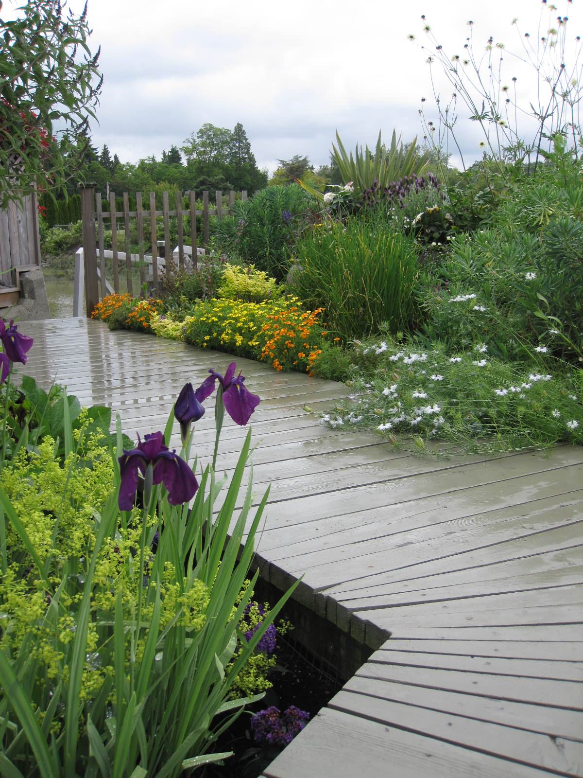 Влага во благо: Что делать с сырым заболоченным участком | Flatica