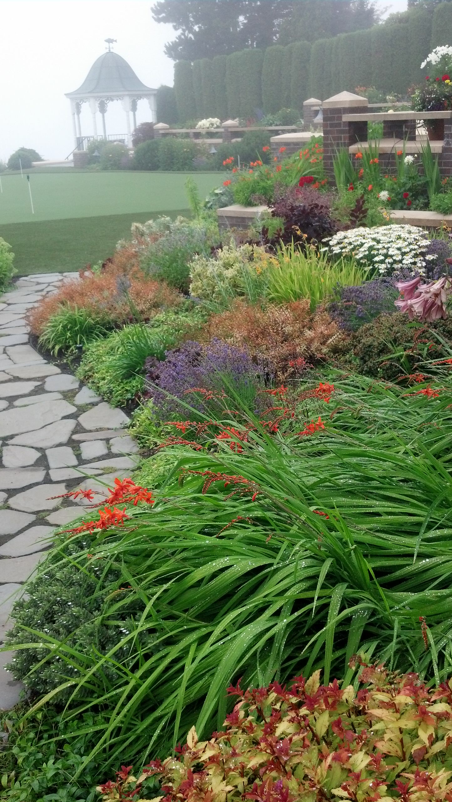 6 соток и меньше: Стратегии выбора растений | Flatica